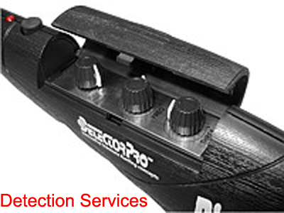 Pinpointer – Detection.it